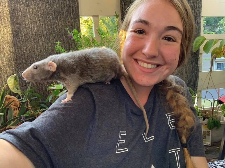 Contact Us Today – Queen City Rattery