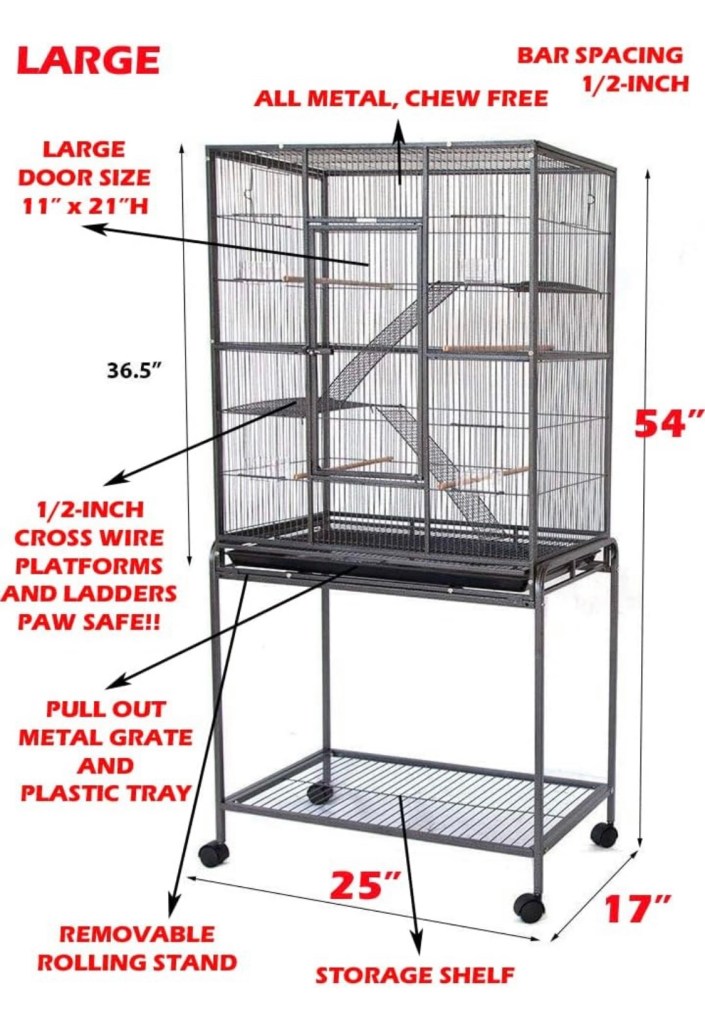 Exploring the Best Rat Cages – Queen City Rattery