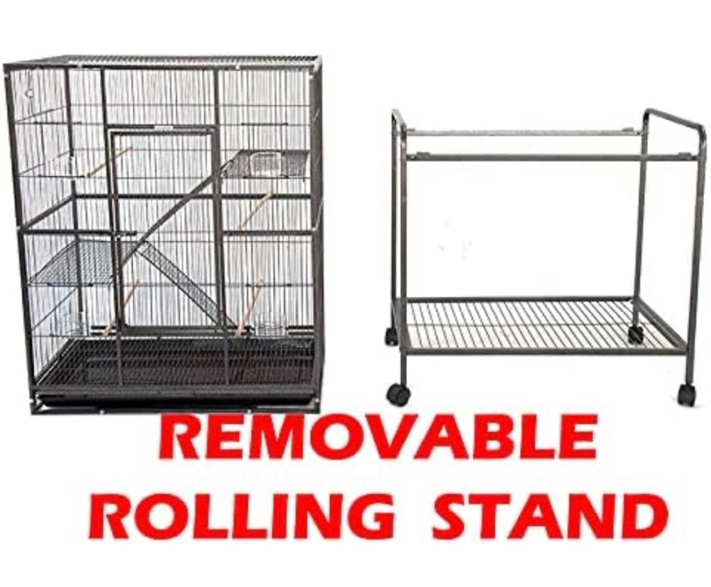 Exploring the Best Rat Cages – Queen City Rattery