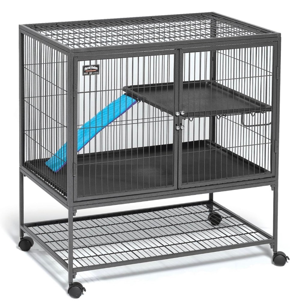 Exploring the Best Rat Cages – Queen City Rattery